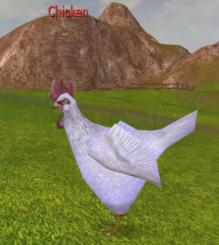 Chicken | Istaria Wiki | Fandom