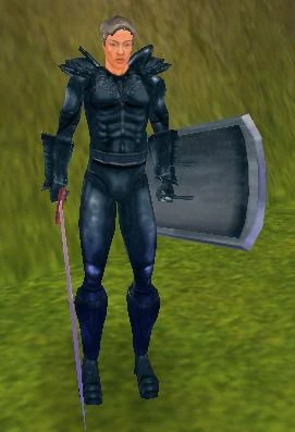 Armor | Istaria Wiki | Fandom