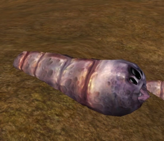 Small Red Maggot | Istaria Wiki | Fandom