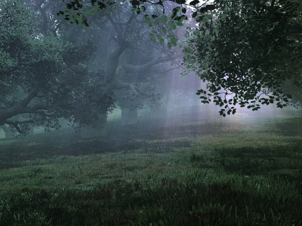 Beregard Forest | Istria Wiki | Fandom