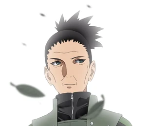 Shikadai Nara (Saruto 2) | It Has To Be Wiki | Fandom