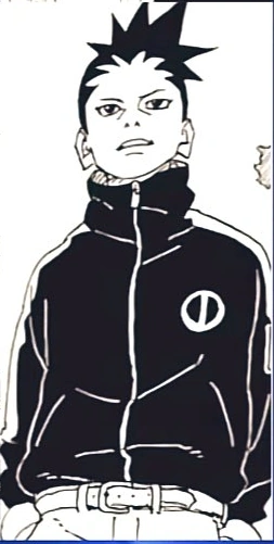 Shikadai Nara (Future) | It Has To Be Wiki | Fandom