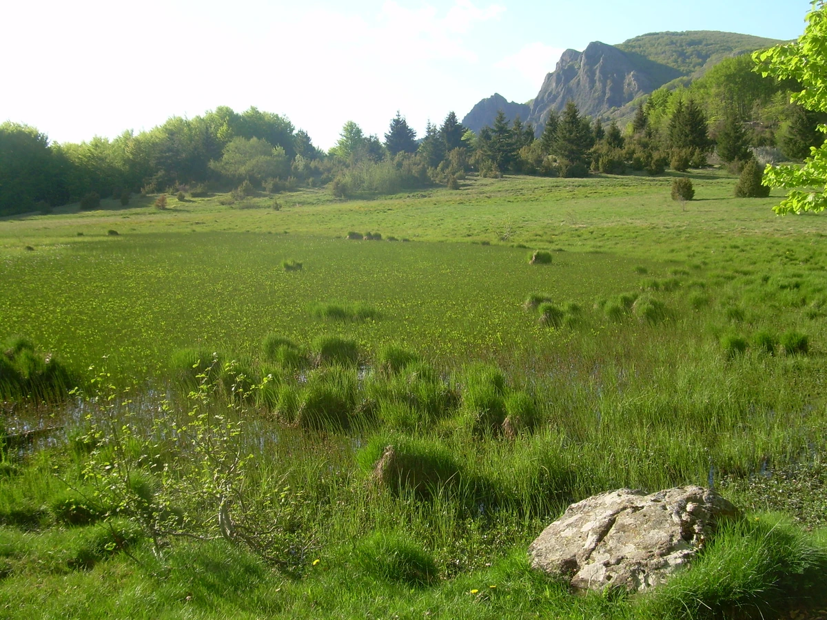 Lago Riane | Geostoria Wiki | Fandom