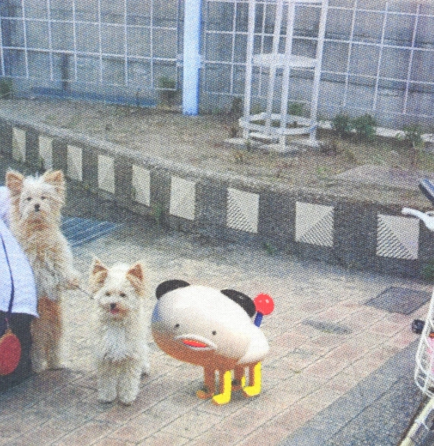 Sticky | ItemLabel Wiki | Fandom