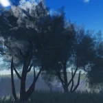 Iter | Iter Wiki | Fandom