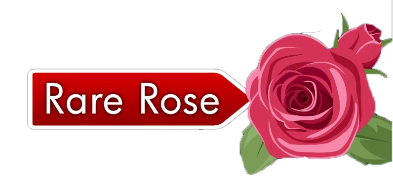 Rare Rose | It Girl Wiki | Fandom
