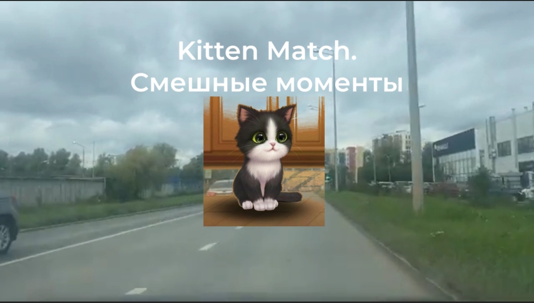 Kitten Match Смешные моменты передача ИТК телеканалы Вики Вики