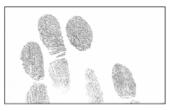 Slap fingerprint | The IT Law Wiki | Fandom