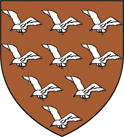 House Shett of Gulltown | Seven Kingdoms Wiki | Fandom