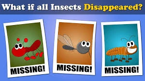 What if All Insects Disappeared | It's aumsum time Wiki | Fandom