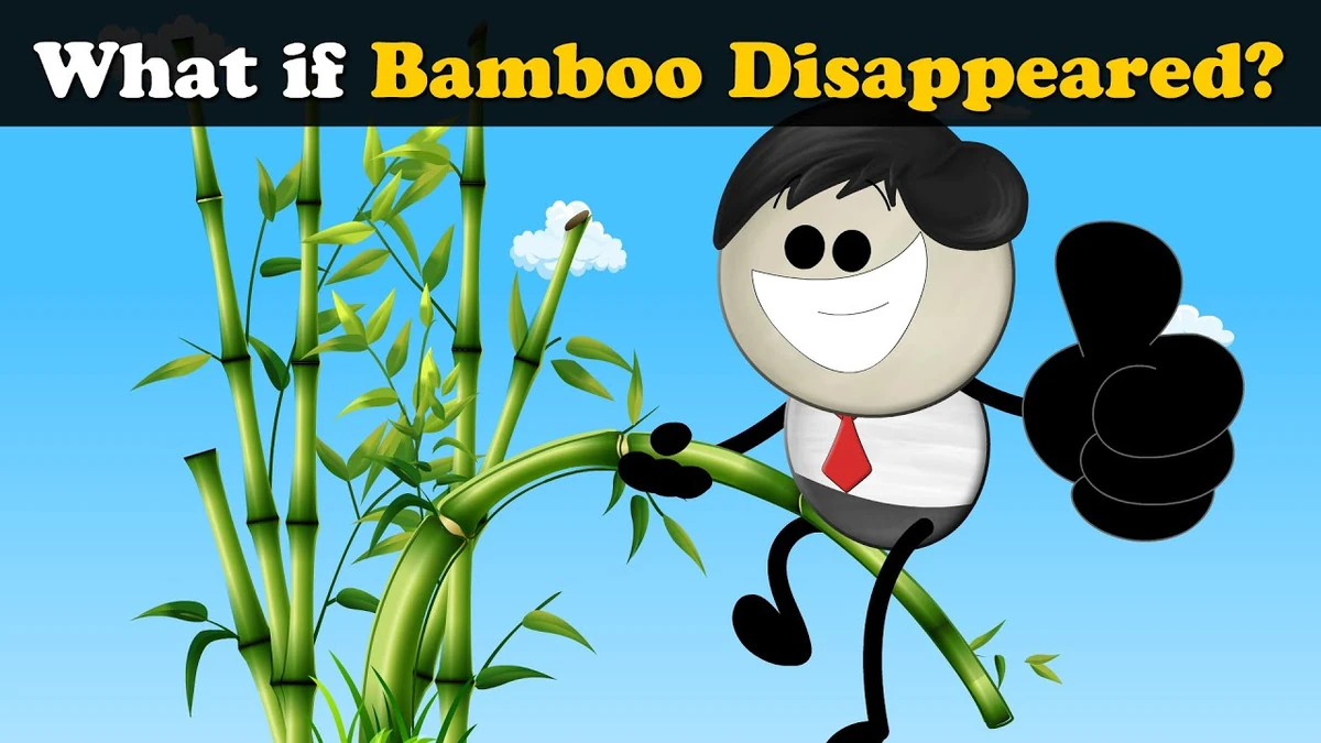 What if all Bamboo Disappeared? | It's aumsum time Wiki | Fandom
