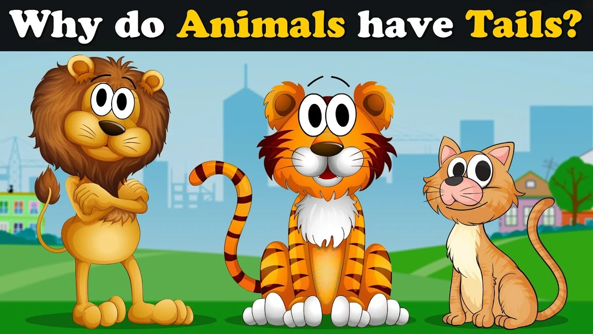 Why do Animals have Tails? | It's aumsum time Wiki | Fandom