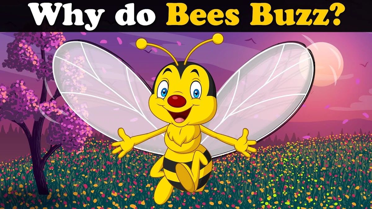 Why do Bees Buzz? | It's aumsum time Wiki | Fandom