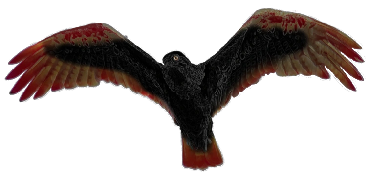 Firebird | It's in the air official Wiki | Fandom