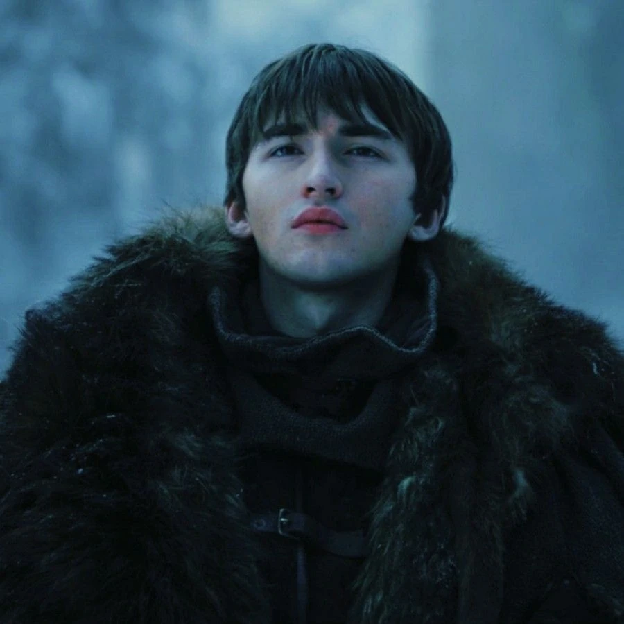 Bran Stark | It's Magic Wiki | Fandom