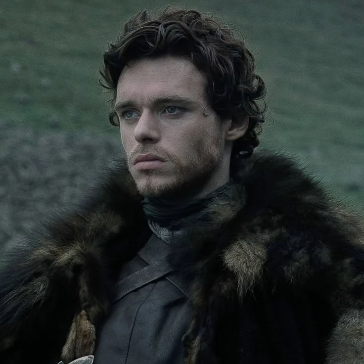 Robb Stark | It's Magic Wiki | Fandom
