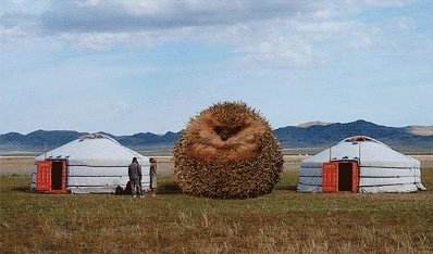 Inflatable Hedgehog | It's Something Wiki | Fandom