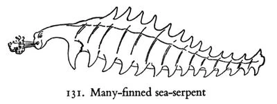 Many-Finned Sea Serpent | It's Something Wiki | Fandom