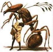 Abatwa | It's Something Wiki | Fandom