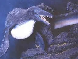 Manipogo | It's Something Wiki | Fandom