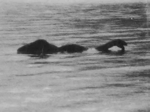 Morag | It's Something Wiki | Fandom