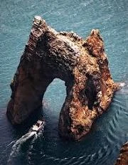 Karadag Snake | It's Something Wiki | Fandom