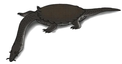 Sachamama | It's Something Wiki | Fandom