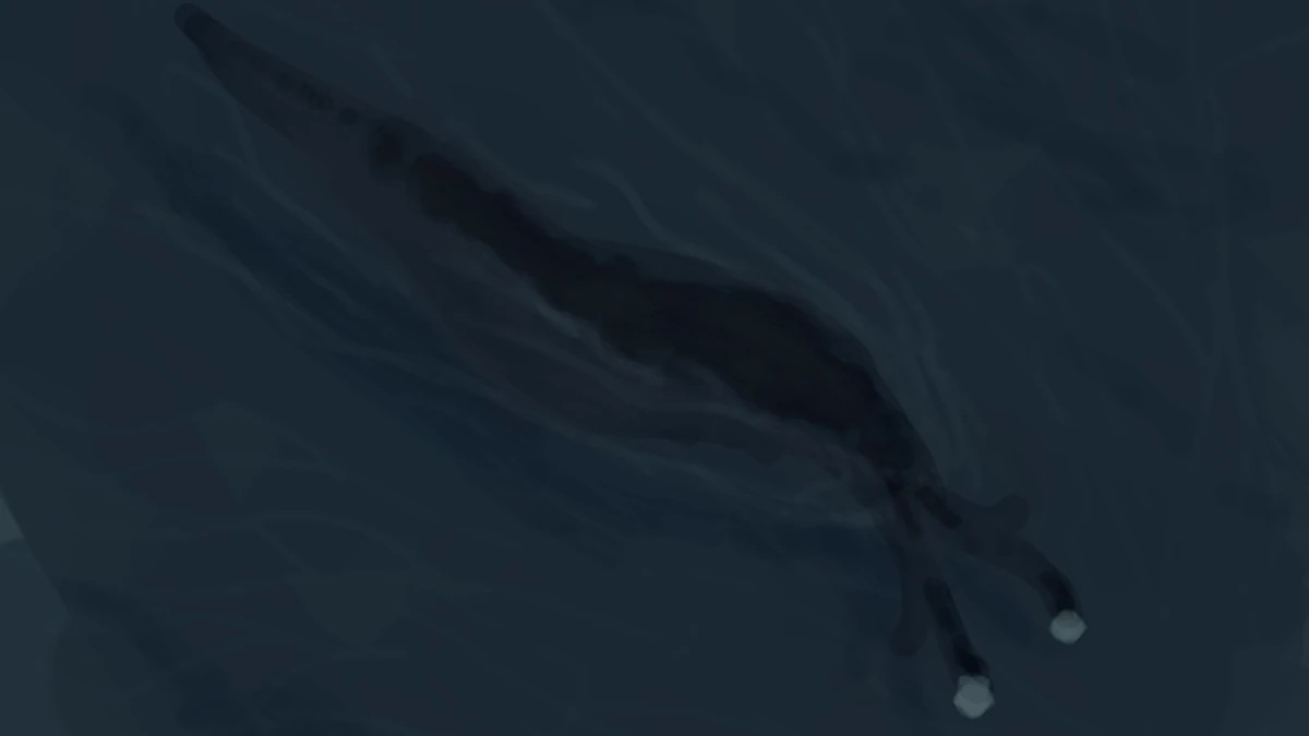 Kussie | It's Something Wiki | Fandom