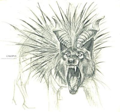 Calopus | It's Something Wiki | Fandom