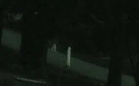 Fresno Alien/Nightcrawler | It's Something Wiki | Fandom