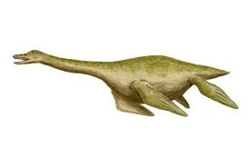 Sharlie | It's Something Wiki | Fandom