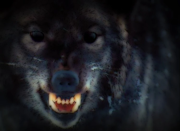 Snarly Yowl | It's Something Wiki | Fandom