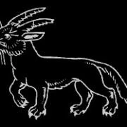 Calopus | It's Something Wiki | Fandom