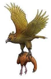 Poukai | It's Something Wiki | Fandom