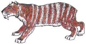 Ennedi Tiger | It's Something Wiki | Fandom