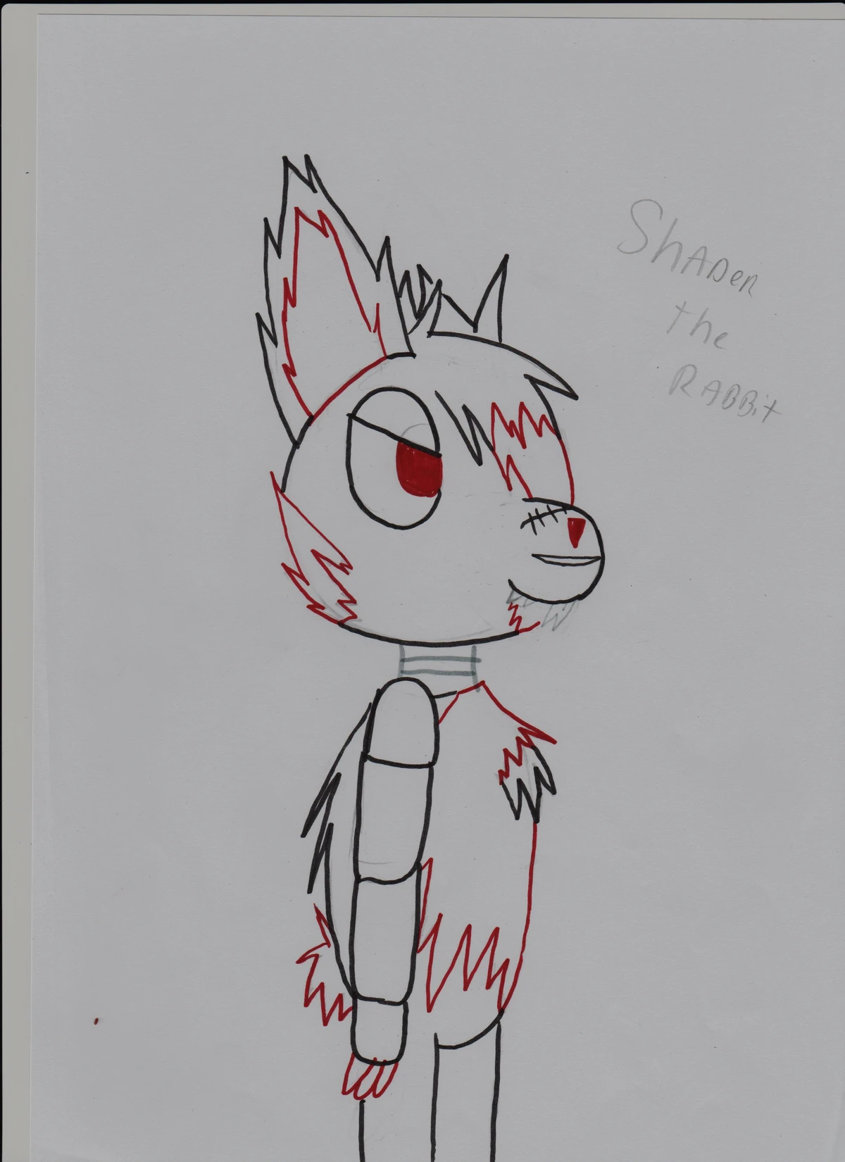 Shader the rabbit | IttyBittyCiss Wiki | Fandom