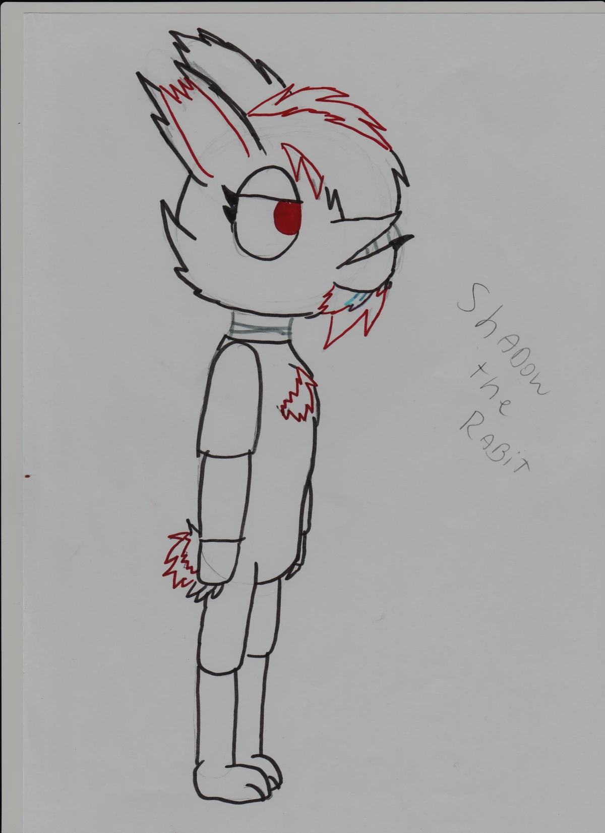 Shadow the rabbit | IttyBittyCiss Wiki | Fandom