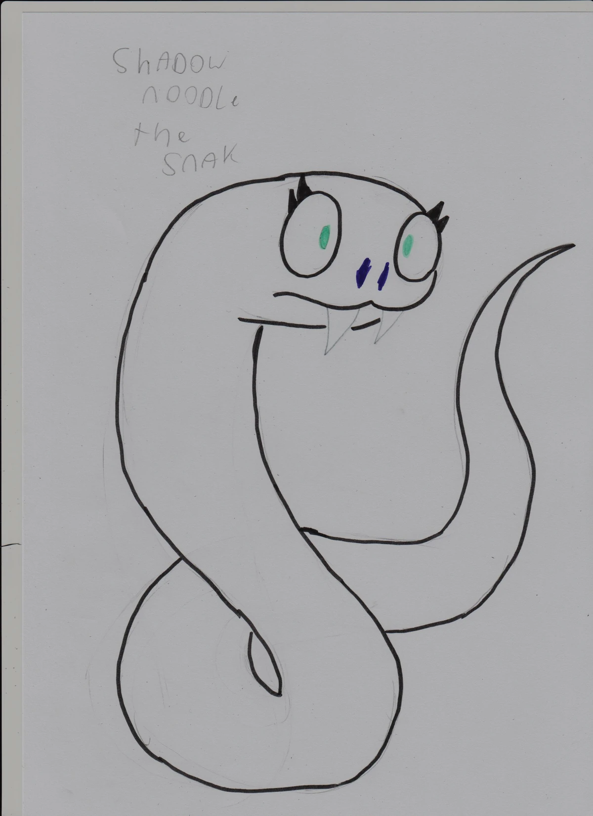 Shadow Noodle the python | IttyBittyCiss Wiki | Fandom