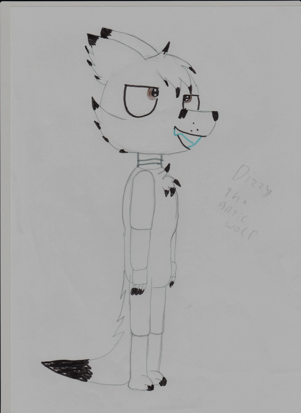 Dizzy the artic wolf | IttyBittyCiss Wiki | Fandom