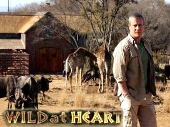 Wild at Heart | Itv Wiki | Fandom
