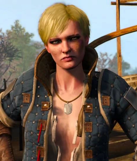 Ves | Witcher Wiki | Fandom