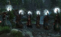 Druidi | Witcher Wiki | Fandom