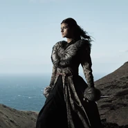 The Witcher | Witcher Wiki | Fandom