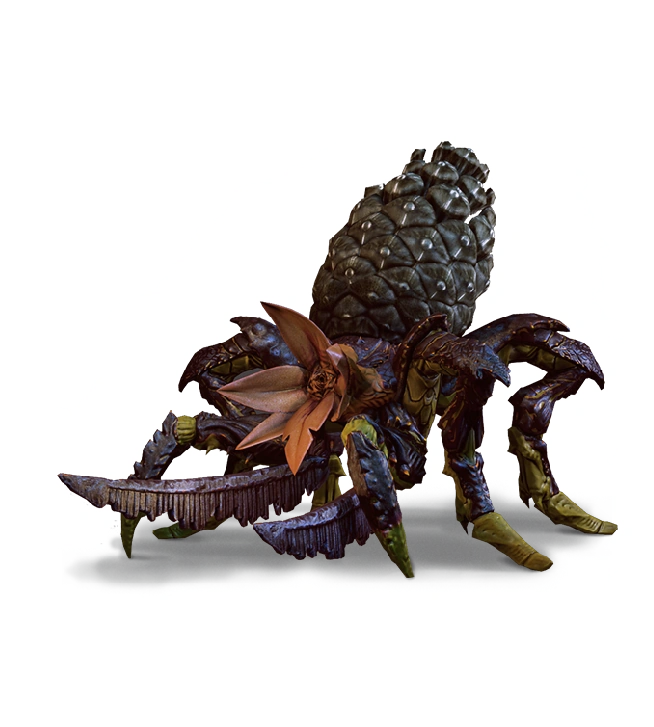 Insettoidi | Witcher Wiki | Fandom