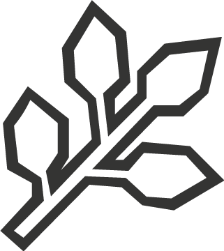 Tomira | Witcher Wiki | Fandom