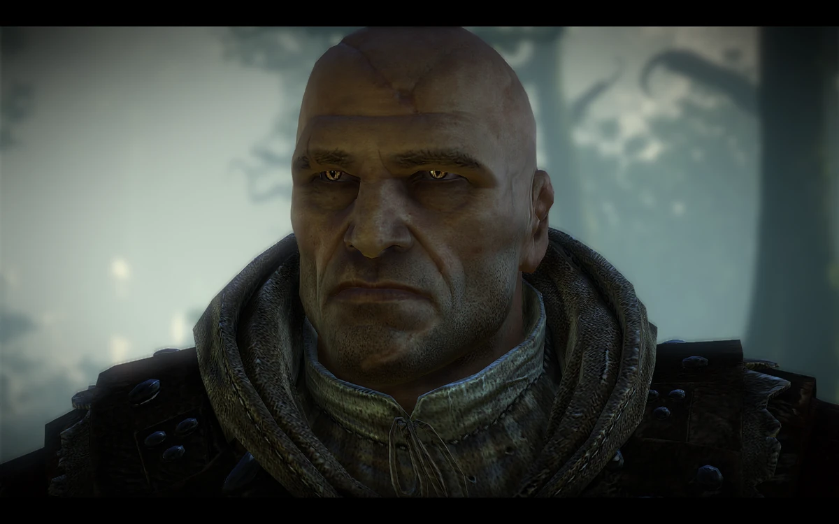 Letho | Witcher Wiki | Fandom