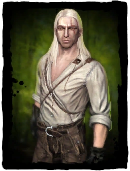 Gameplay (The Witcher) | Witcher Wiki | Fandom