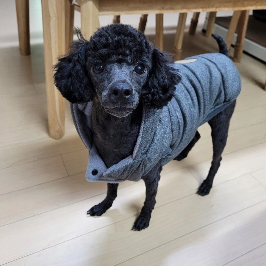 Insam/Gallery | ITZY Wiki | Fandom