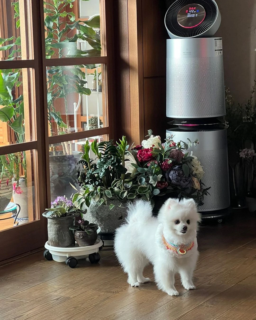 Bella/Gallery | ITZY Wiki | Fandom