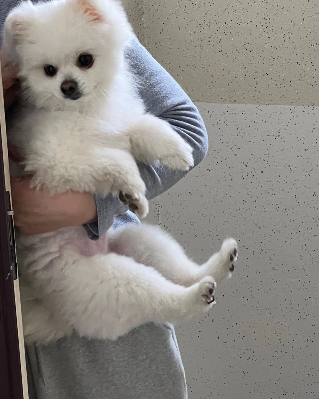 Bella | ITZY Wiki | Fandom